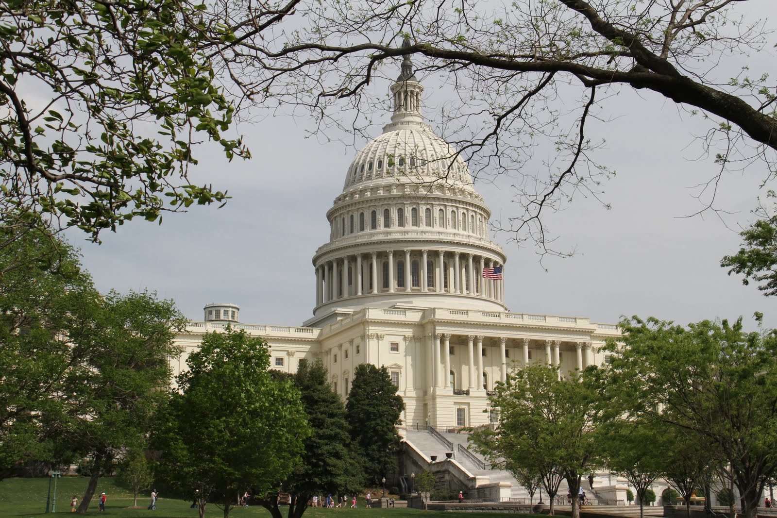 Conte Photography: Washington DC Trip April 2010
