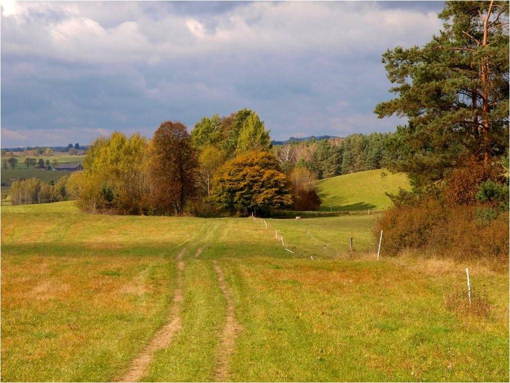 Das ABC meiner Stadt: E wie Ermland/ Das polnische ABC meiner Stadt
