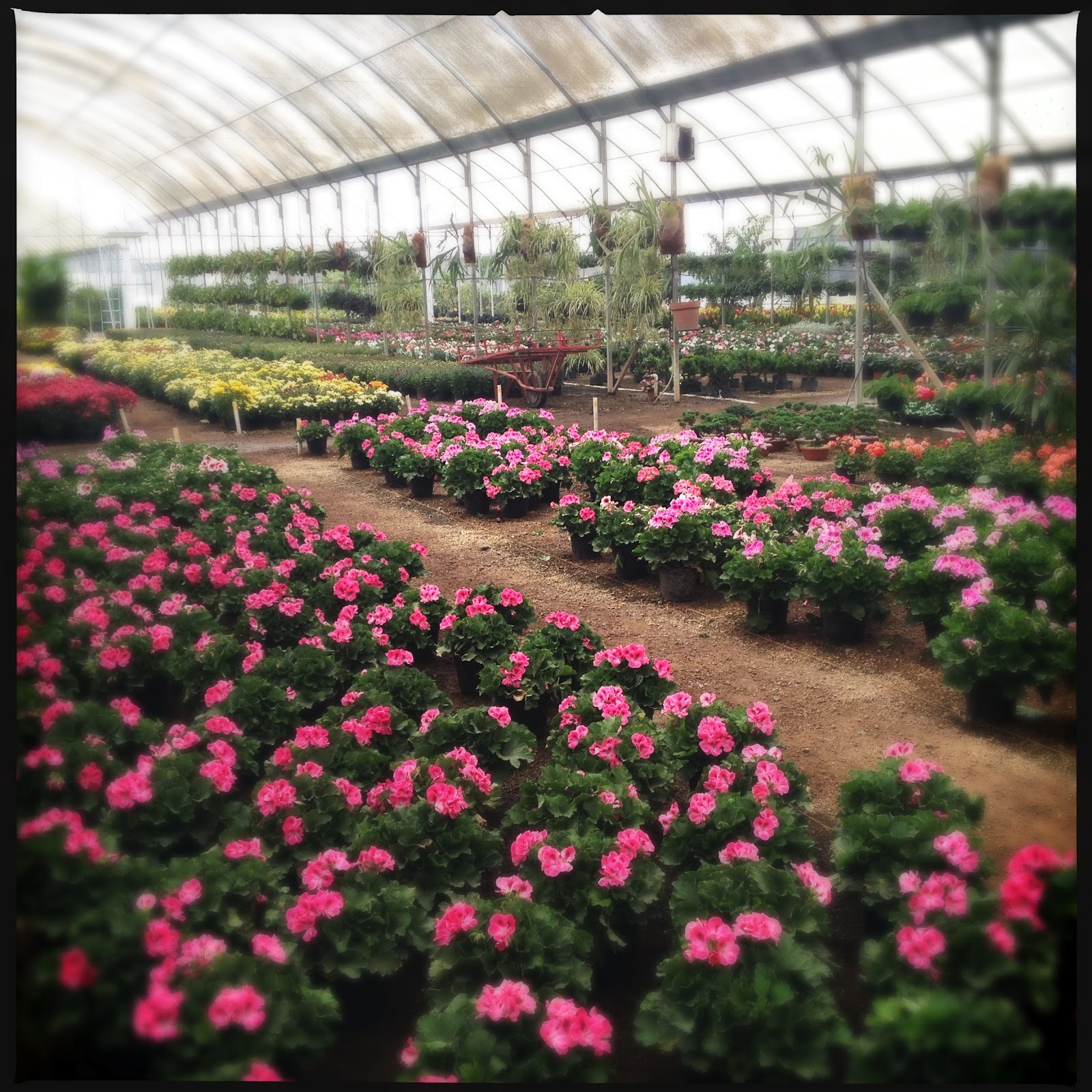 4to de Inspiración: Flores!