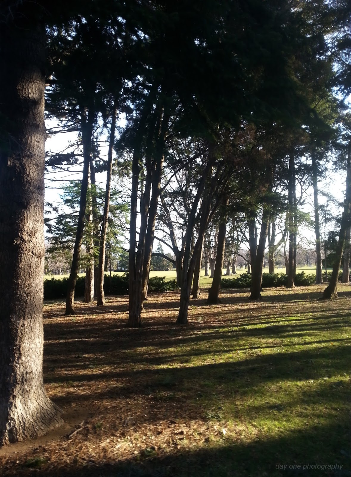 Day One Photography: Park Shadows