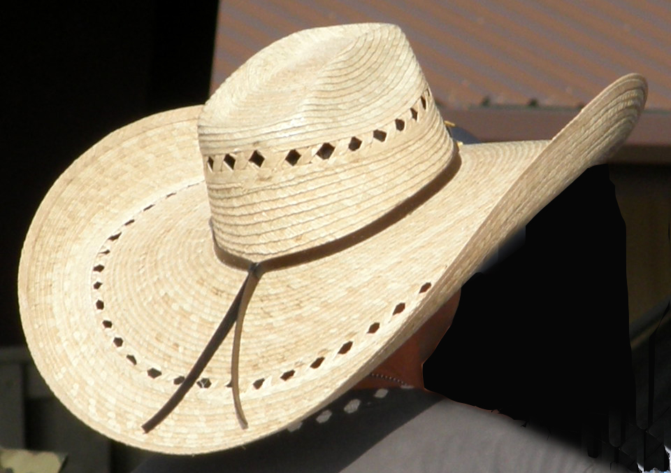 Food Gratitude: Trader's Village IBCA Barbeque Cookoff held in Grand ...