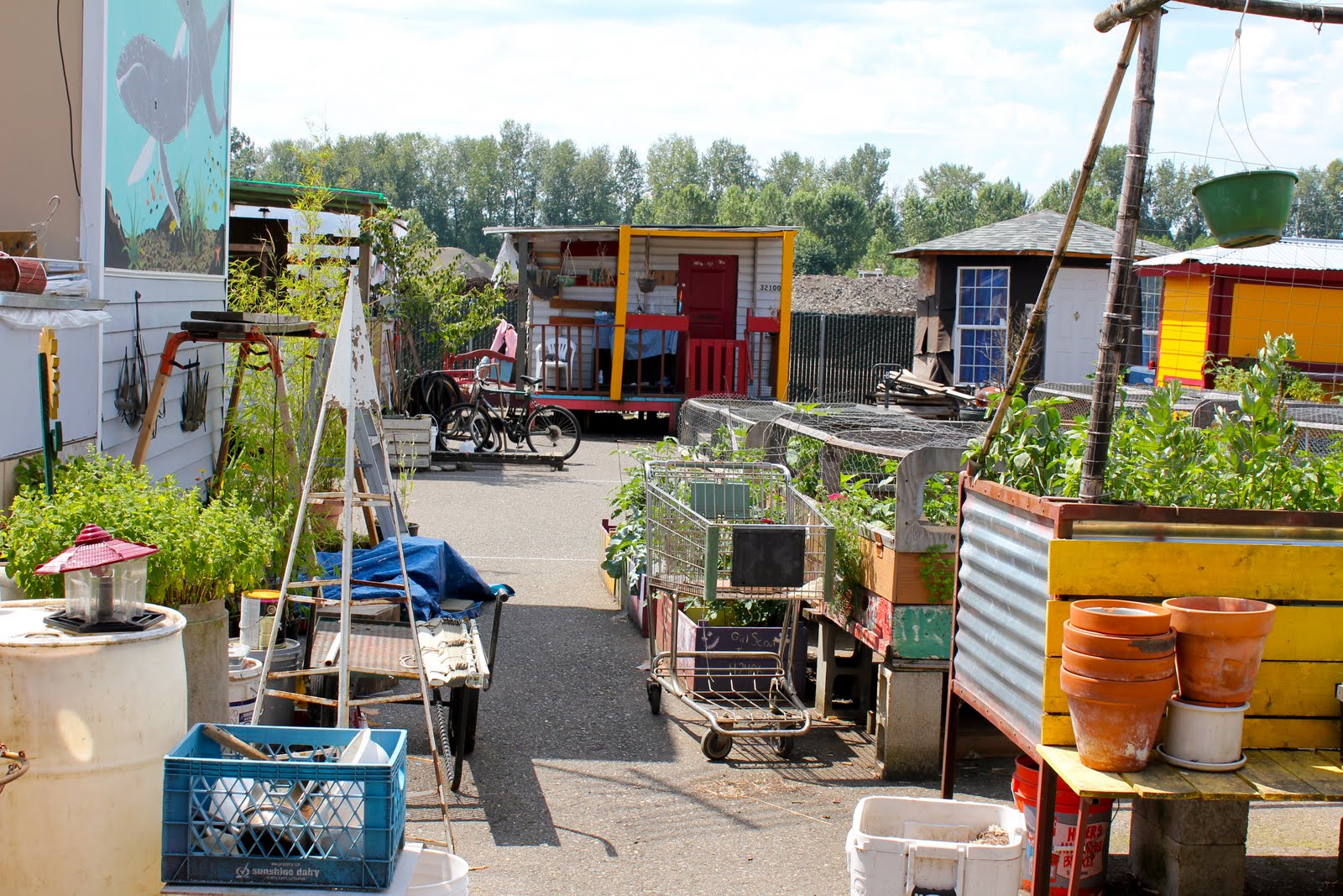 Dignity Village - Alchetron, The Free Social Encyclopedia