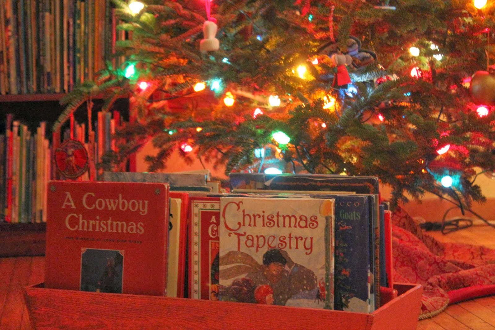 Still Point of the Turning World: Christmas Book List for Families