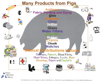 Peaches the Pig: Day 17 & 18: Piggy Products