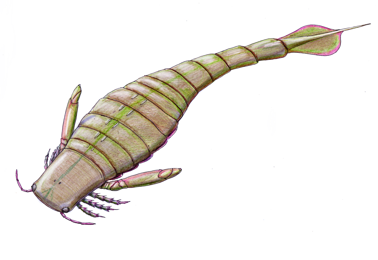 viventibus esse: Čo nám oči hovoria o stravovacích návykoch "vodných ...