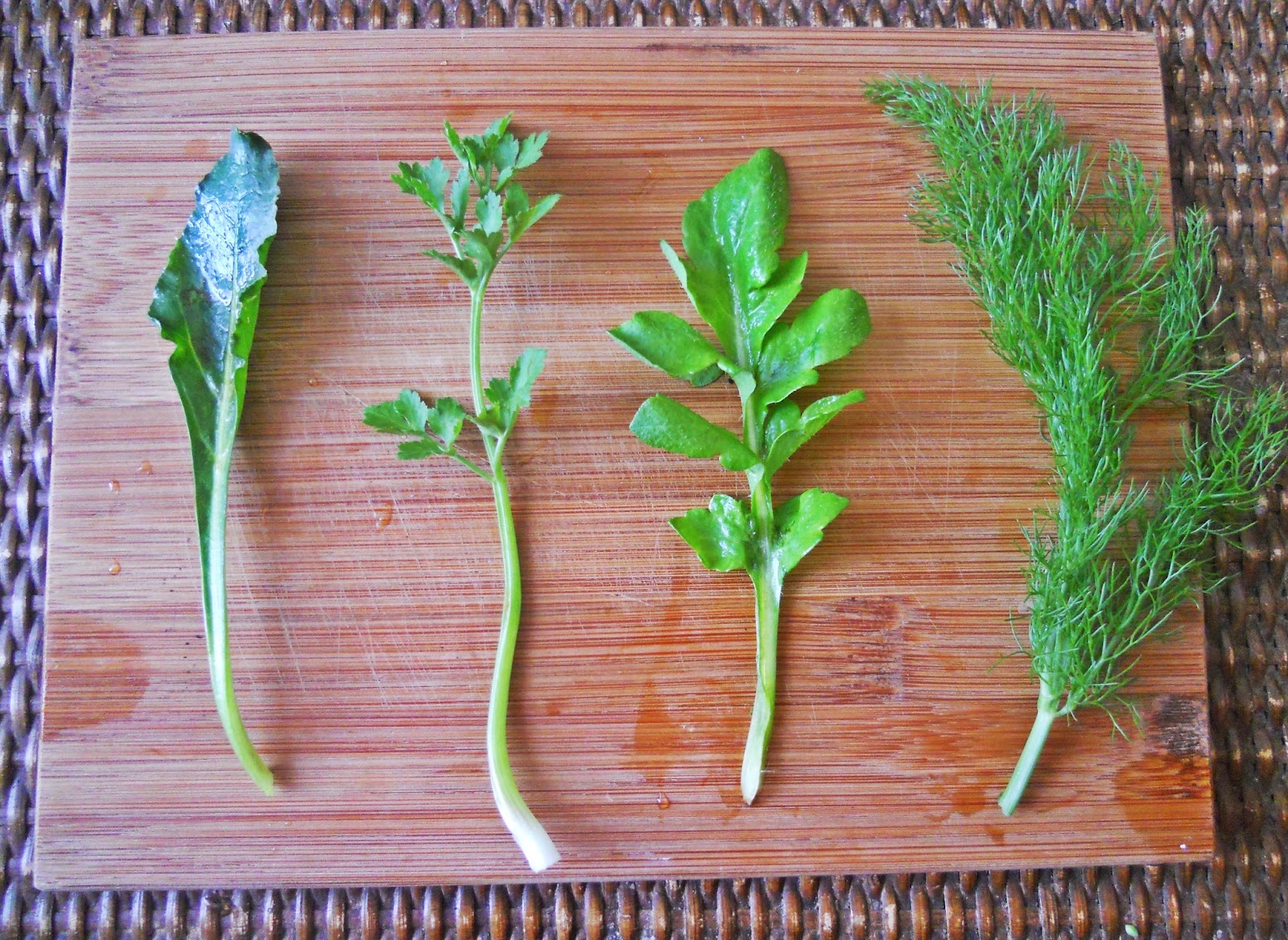 Cheerfulmoon: ot bilgisi...