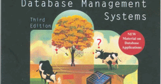 Database Management Systems by Raghu Ramakrishnan, Johannes Gehrke | .pdf Database Management ...
