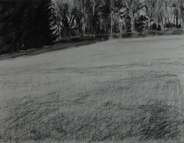 Mark and Remark: Field Drawing