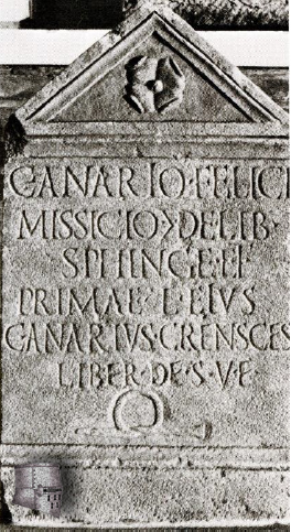 AMO DEL CASTILLO: VITIS, símbolo de autoridad, instrumento de castigo