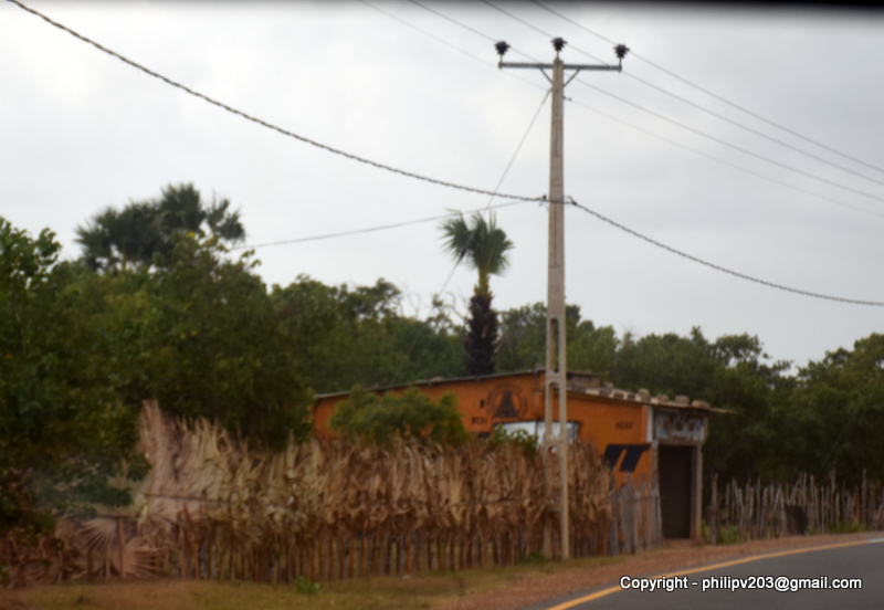 Images of Sri Lanka on blogspot.com: Poonakary to Kilinochchi, Sri Lanka.