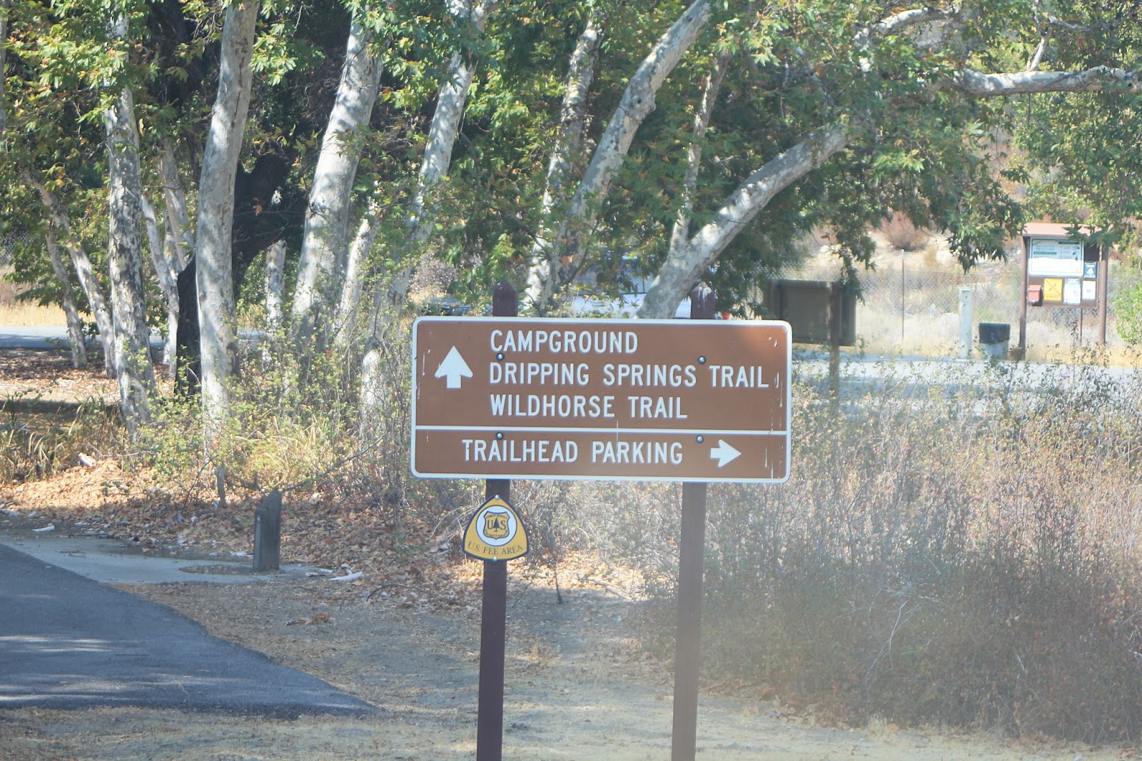 Western Sojourns: Travels with Camissonia: DRIPPING SPRINGS CAMPGROUND ...
