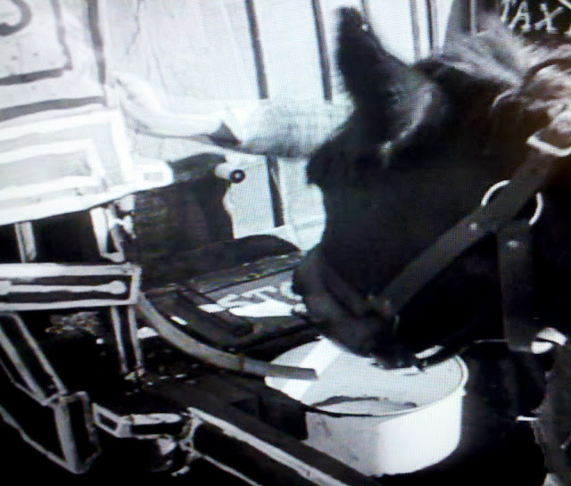 Just A Car Guy: Our Gang / Little Rascals made this terrific taxi ...