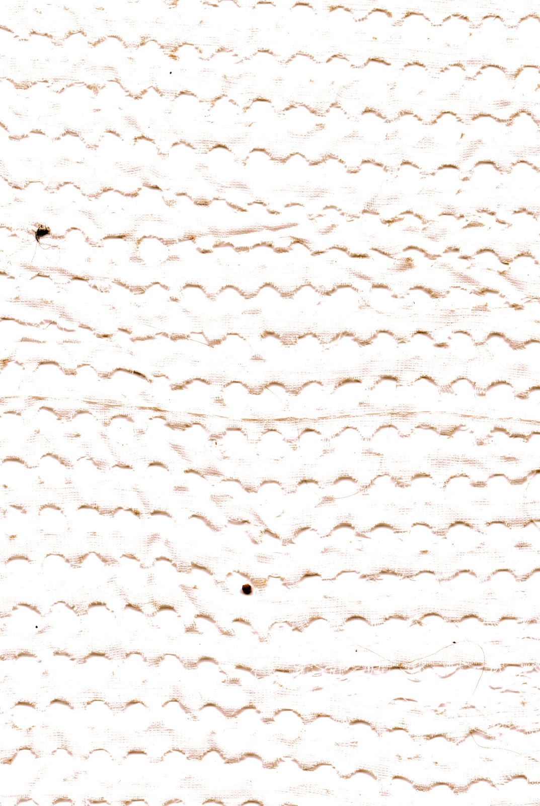 Anna Columbine: Stitch and Scan.