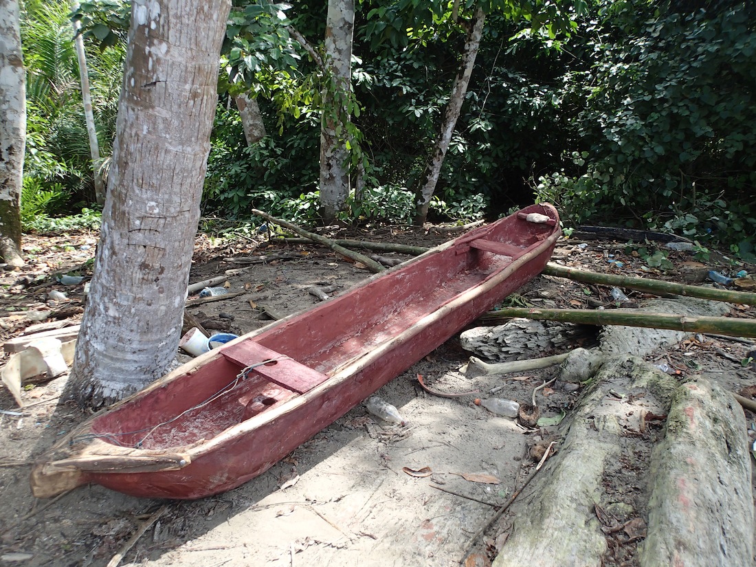 Build a dugout canoe