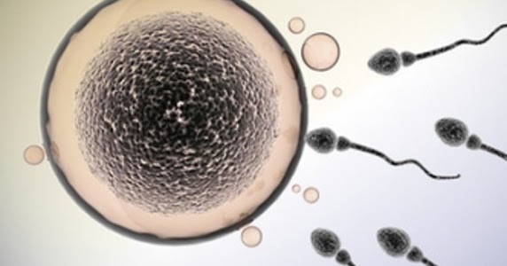 Times of Ahmad: Eye on Science: Bright flash of light marks incredible ...