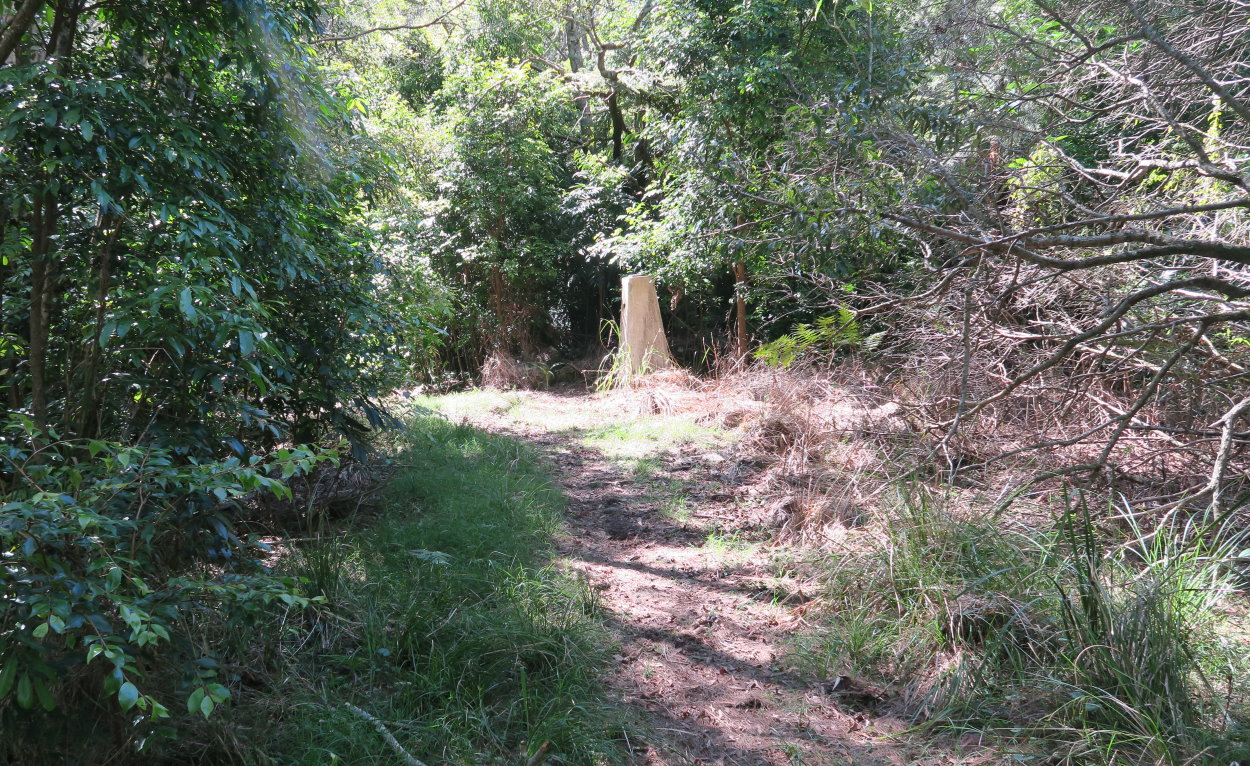 Mountains: North Brother Mountain, NSW, Australia