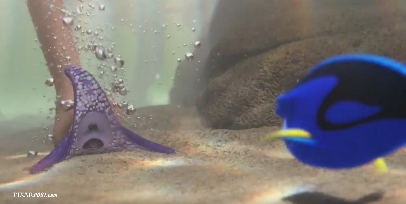 New 'Finding Dory' Trailer - A Glimpse at Dory's Parents and Explore ...