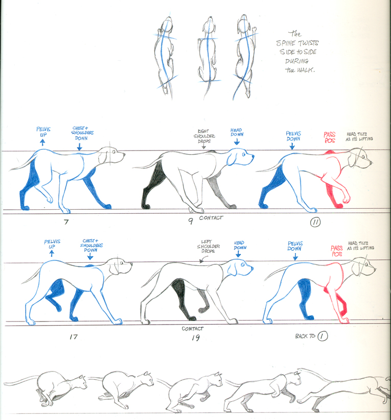 Albums 102+ Pictures Dog Poses For Pictures Latest