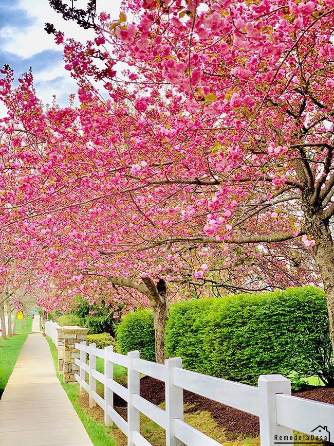 Beautiful Spring Colors - Remodelando la Casa