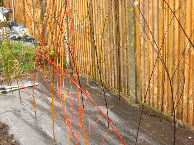 Damp Patch Wall After Rain - oneinter