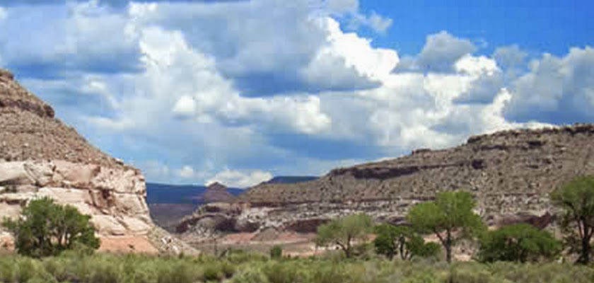 Utah Birding Spots: Rio Mesa Center