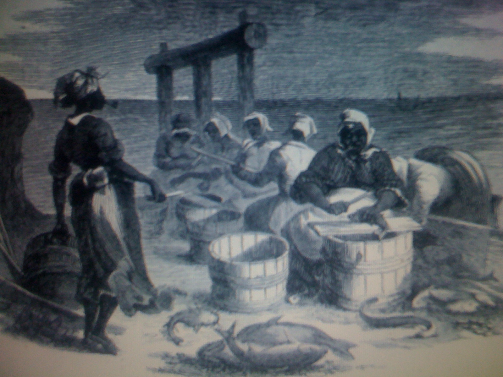 THE BLACK SOCIAL HISTORY:: BLACK SOCIAL HISTORY: SLAVE REVOLTS IN BRAZIL: