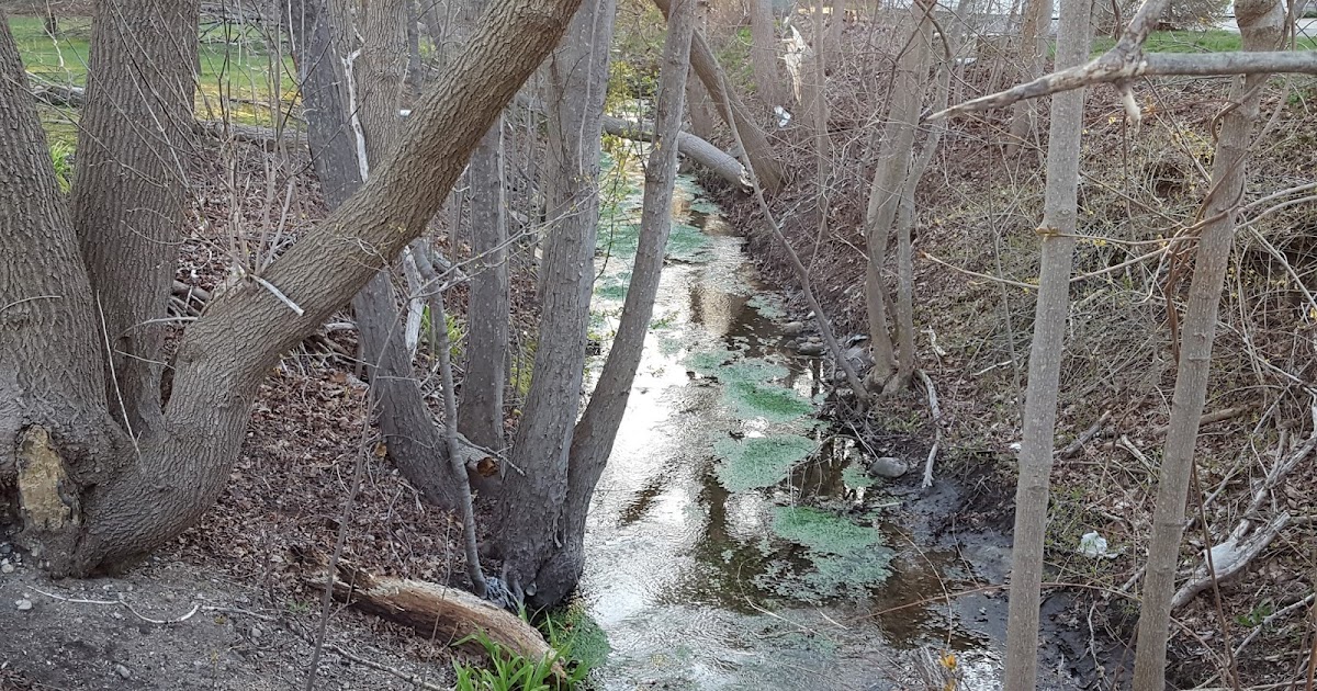 Franklin Matters: Save Spruce Pond Brook - Stop Madalene Village ...