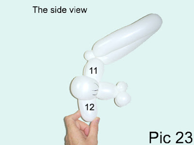 Balloon animals twisting instructions: Balloon bunny