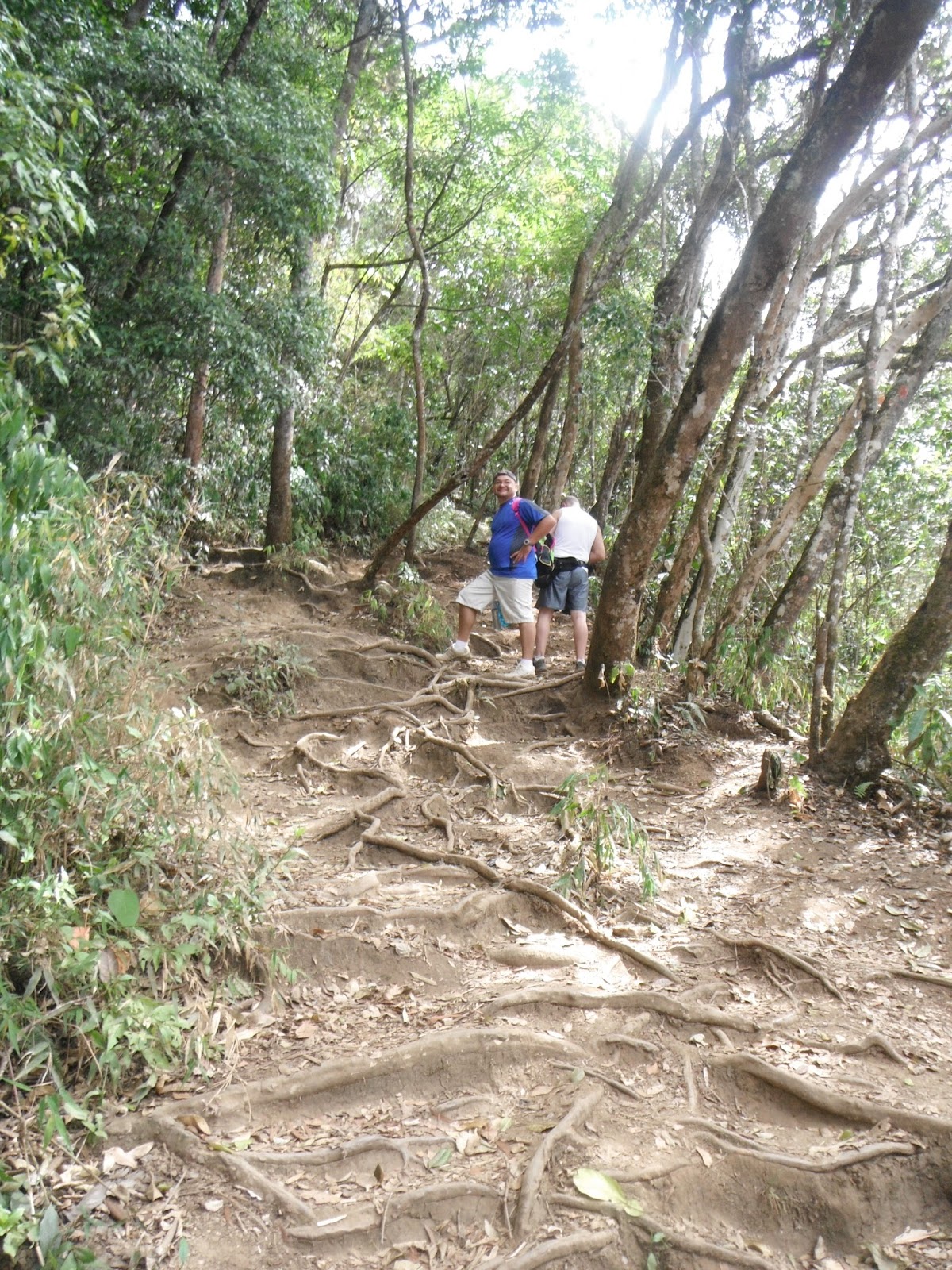 El Avila para principiantes: Sabas Nieves- El Banquito- No te apures ...