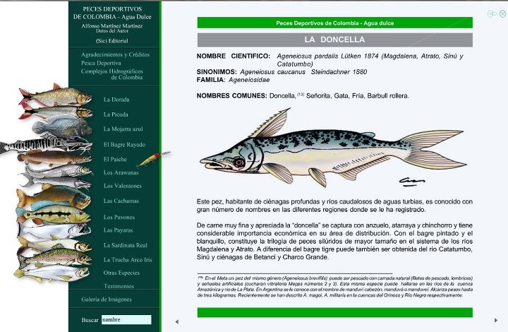 Espacio de Pesca: Fichas Especies Peces Deportivos de Colombia de Agua ...