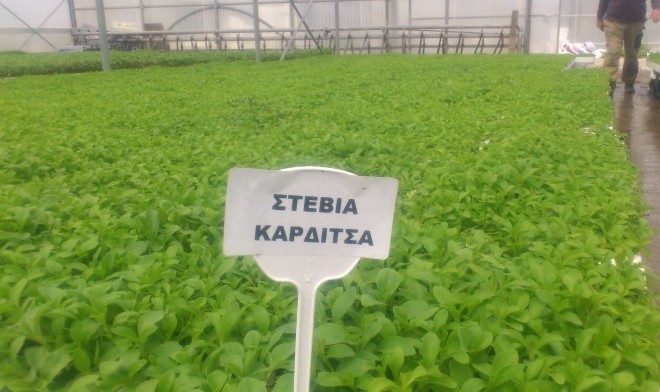 ΚΑΙ ΣΕ ΑΥΤΗ ΤΗΝ ΚΑΤΑΣΤΑΣΗ ΠΑΛΙ ΤΟΥΣ ΒΑΖΟΥΜΕ ΤΑ ΓΥΑΛΙΑ: ΤΟ ΠΡΩΤΟ ...