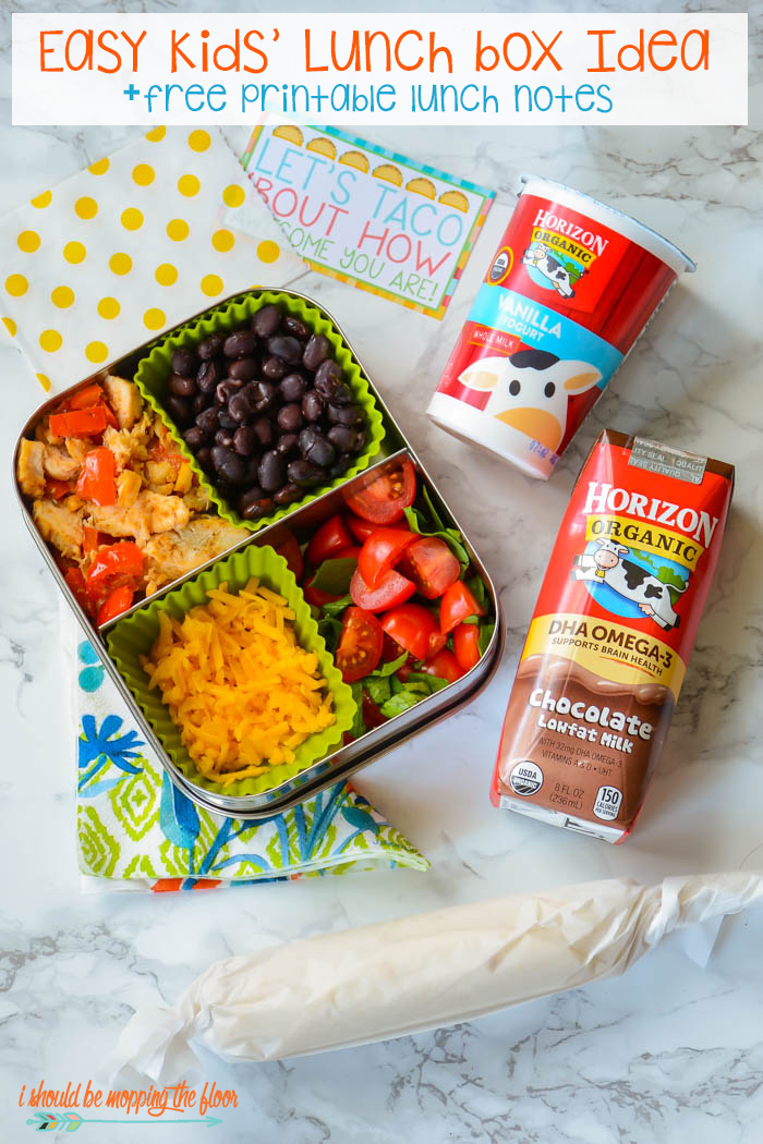 Kids' Lunch Box Idea | i should be mopping the floor