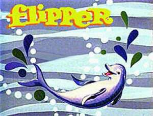 Caleta de cara al mar: SERIES DE TV FLIPPER