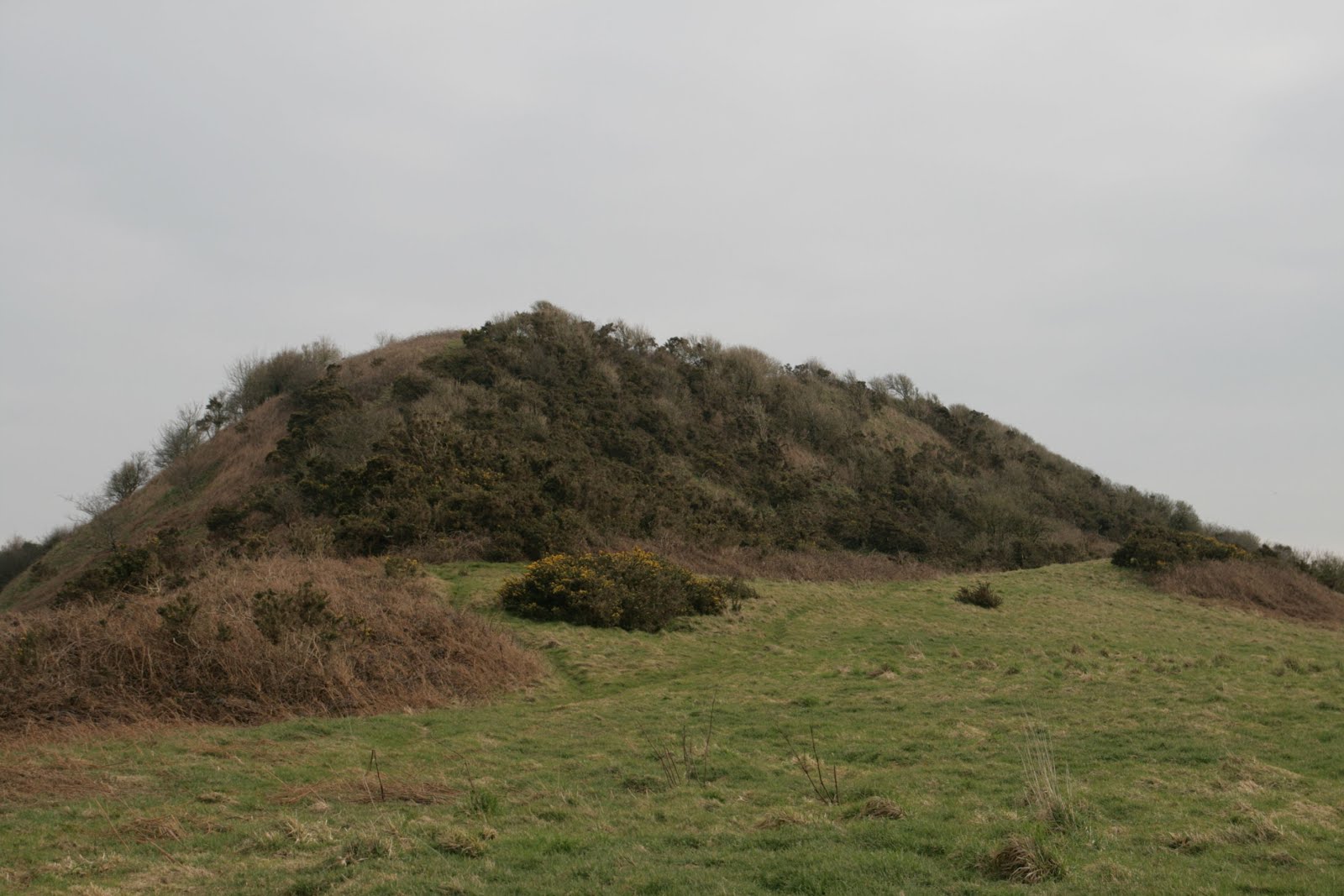 Walking Dorset's gridsquares: Shipton Gorge Circular