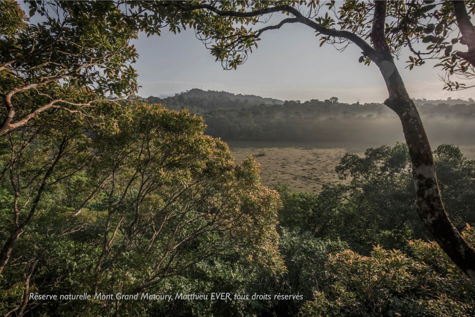 Réserve naturelle Mont Grand Matoury: septembre 2015