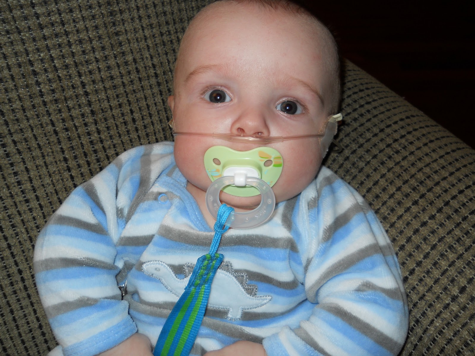 A Belly Button and Two Too-Toos