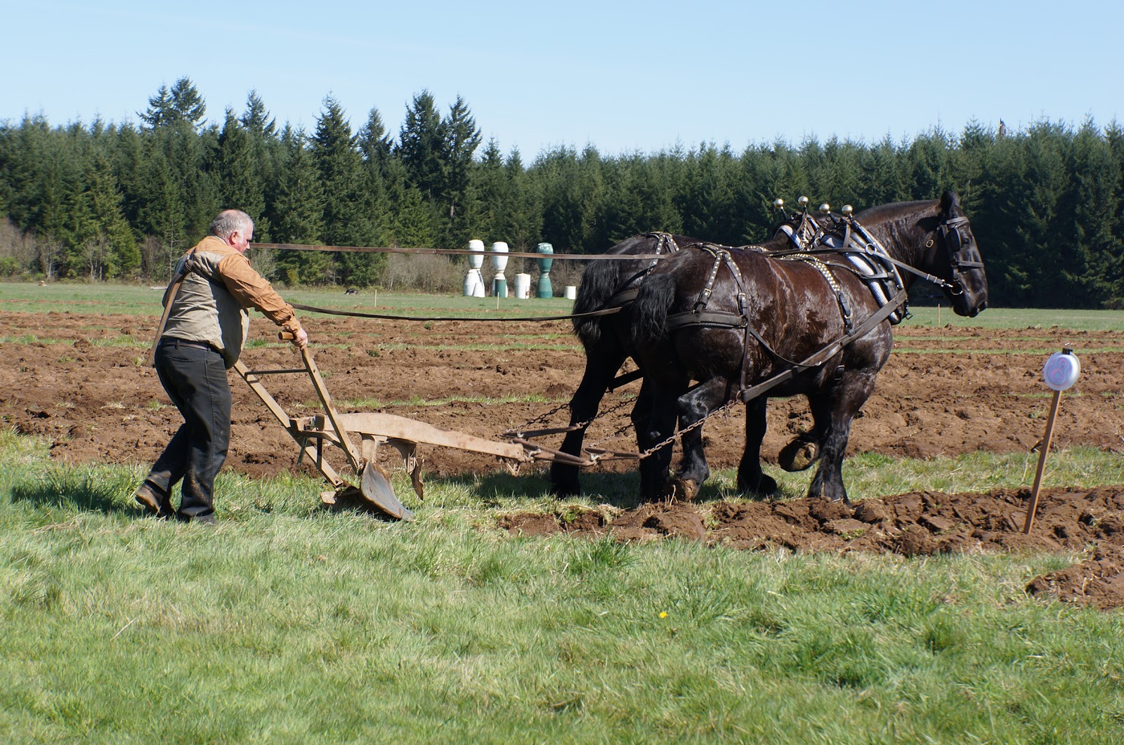 The McDonald Family: An Old- Fashioned Plowing Competition!