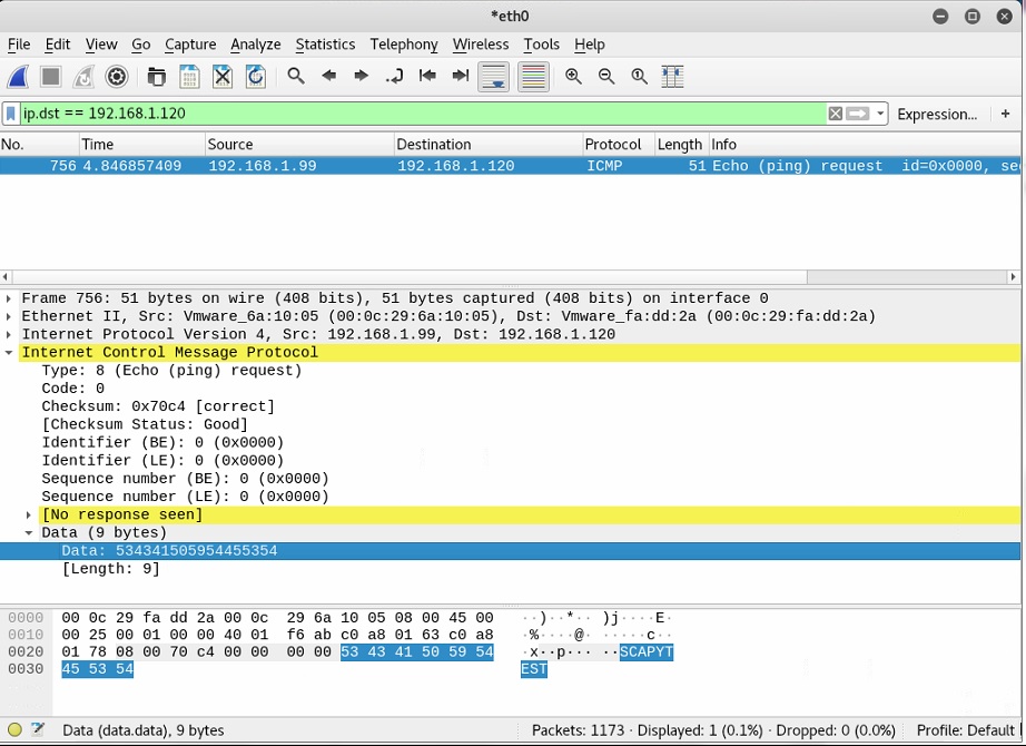 My Cybersecurity Journal: Packet Manipulation Using Nmap, Scapy and hping3