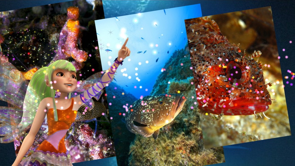 Winx Club Sirenix: ¡¡El Winx Club Sirenix 3D visita la fauna marina de ...