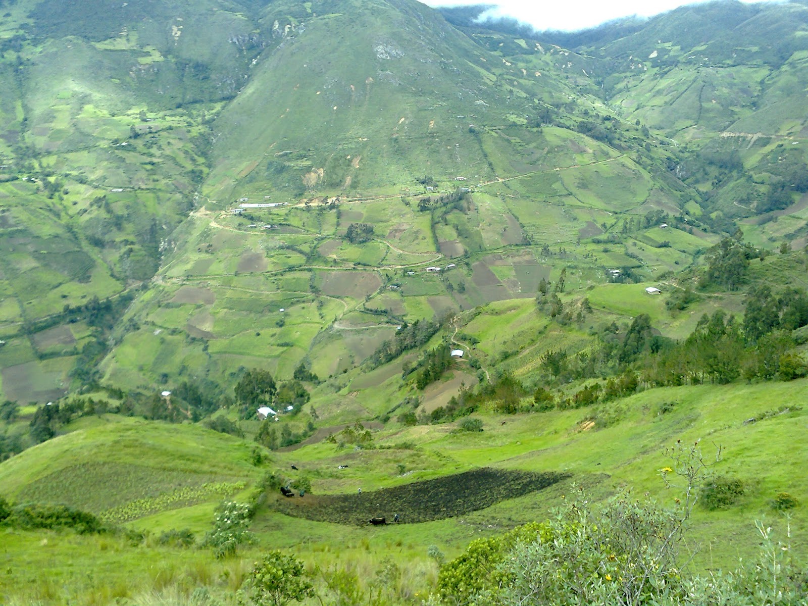 Huancabamba Mágica: HUANCABAMBA Y SU AGRICULTURA