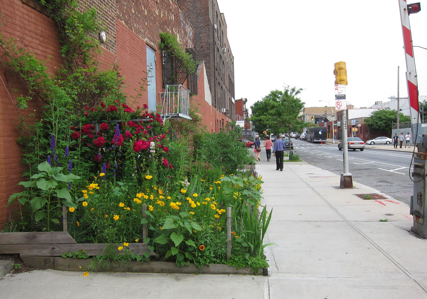 66 Square Feet (Plus): Street flowers