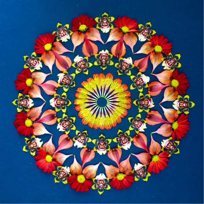 Elemeno P: Kathy Klein