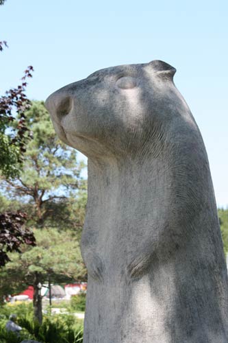 Life Is Better On Vacation: Wiarton Willie