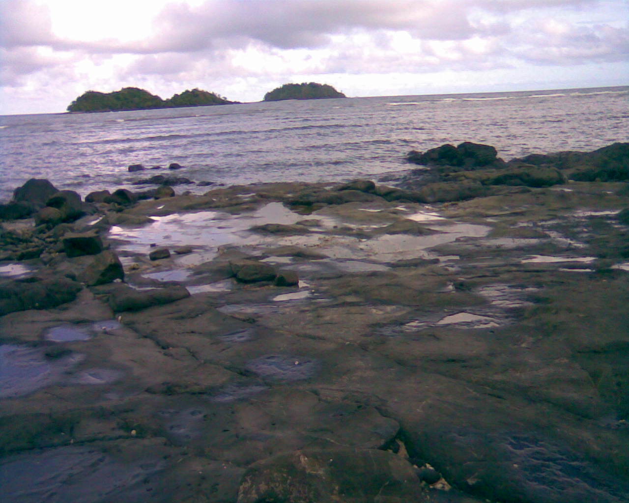 arrivaivisan: rissing ivisan