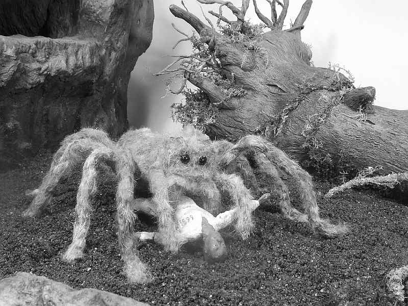 Blacknick Sculpture: Kong Spider Pit Finished