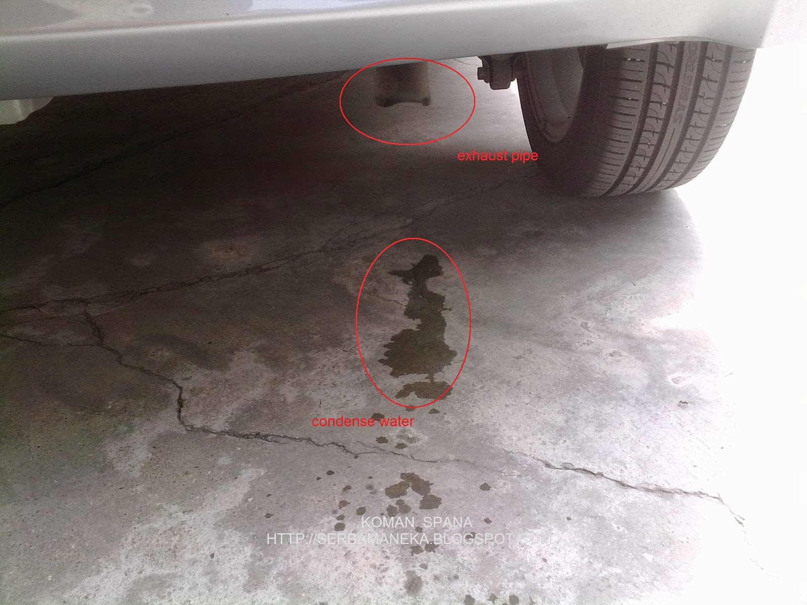 D.I.Y. SERBAMANEKA: Memahami Air Terbentuk Di Dalam Ekzos Cara Koman