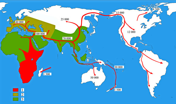 HISTORIA DE PRIMERO: 2015-05-31