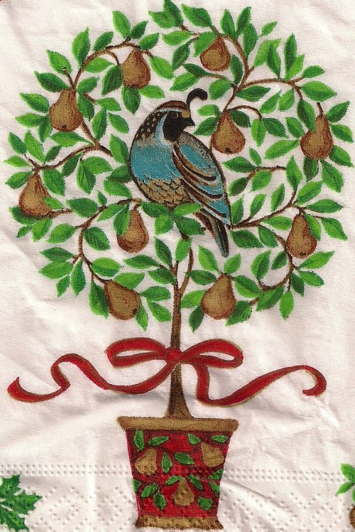Tat's Heaven: A Partridge in a Pear Tree