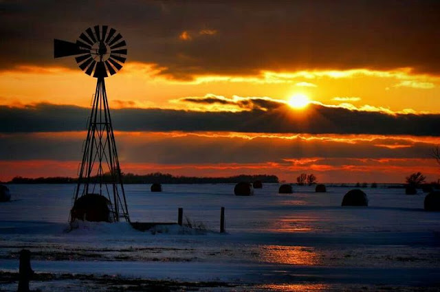 Every Day Is Special: January 29 – Kansas Celebrates the Anniversary of ...