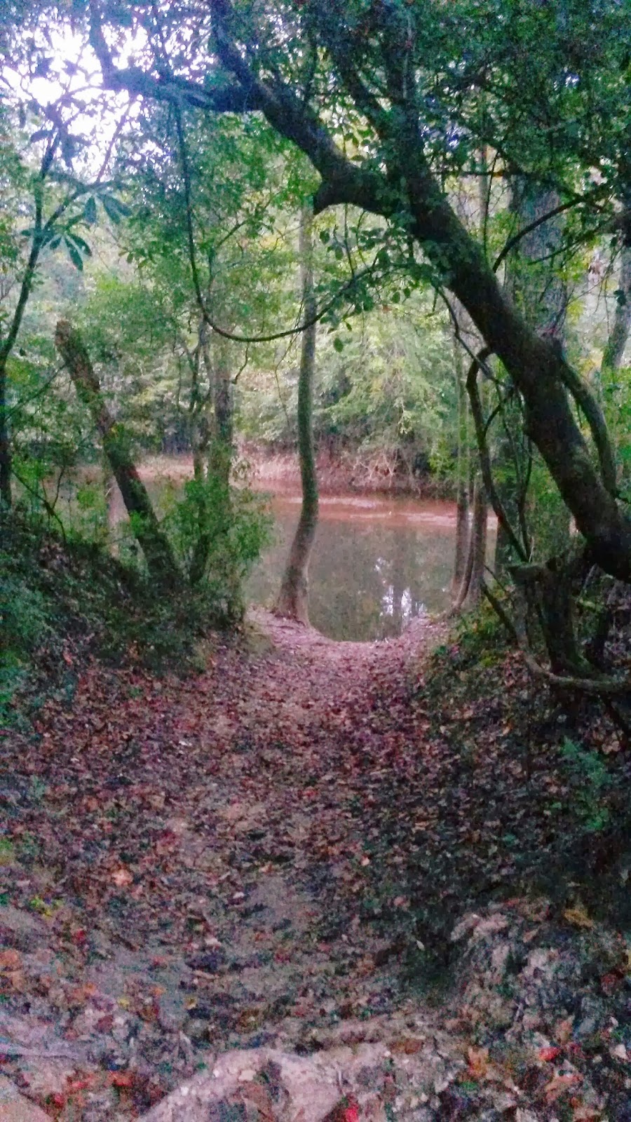 Wandering This Earth: Upper Delta WMA